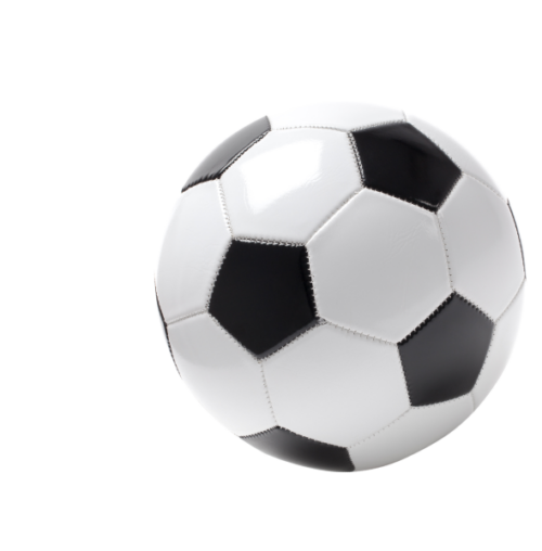 Personal Training Sessions - Chronis Elite